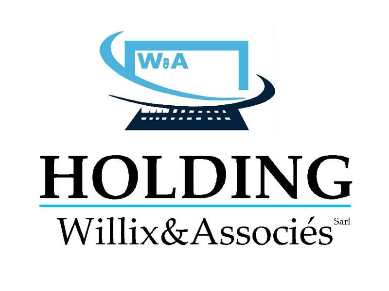 Holding Willix & Associés | Des fondations solides aux horizons infinis ...